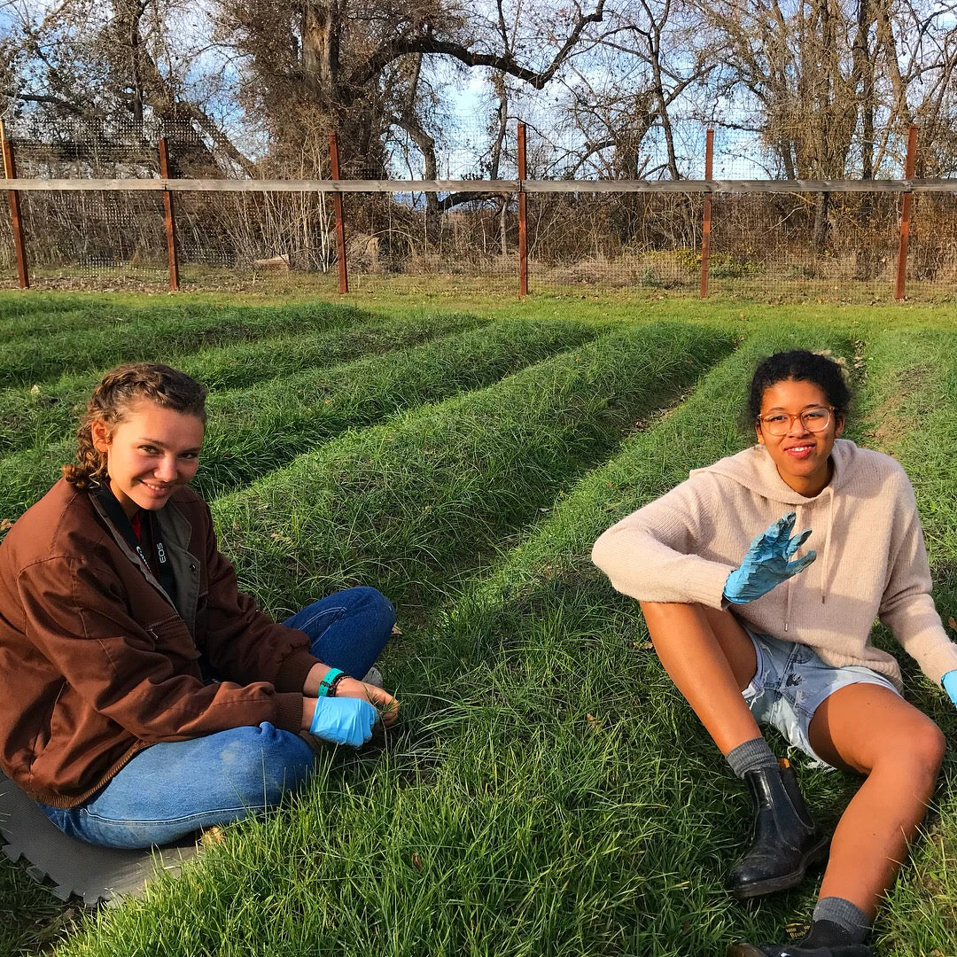 It's All About Community – Peace and Plenty Farm