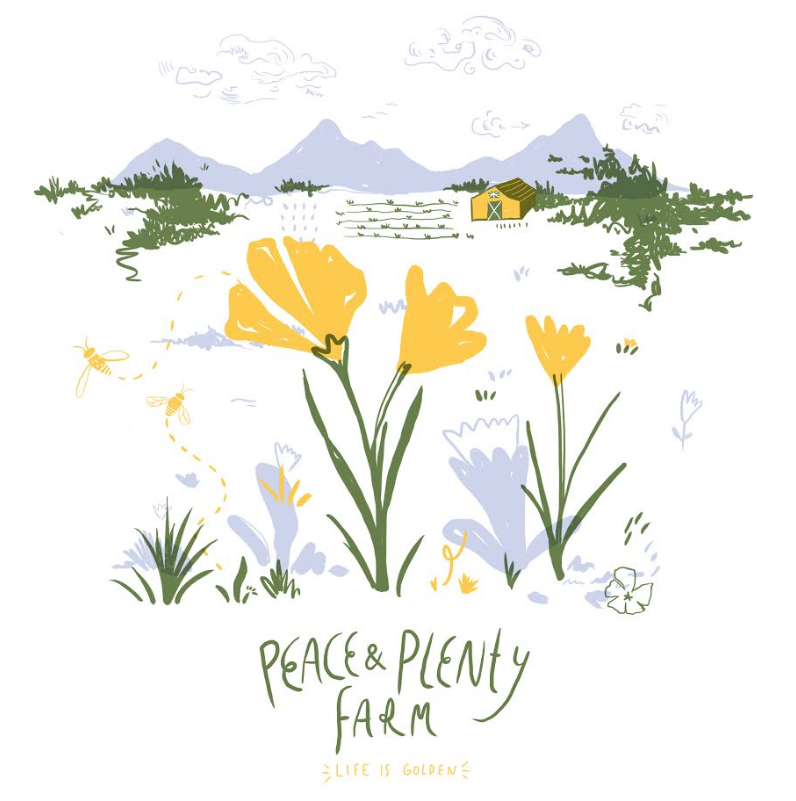 Supporting the Arts – Peace and Plenty Farm