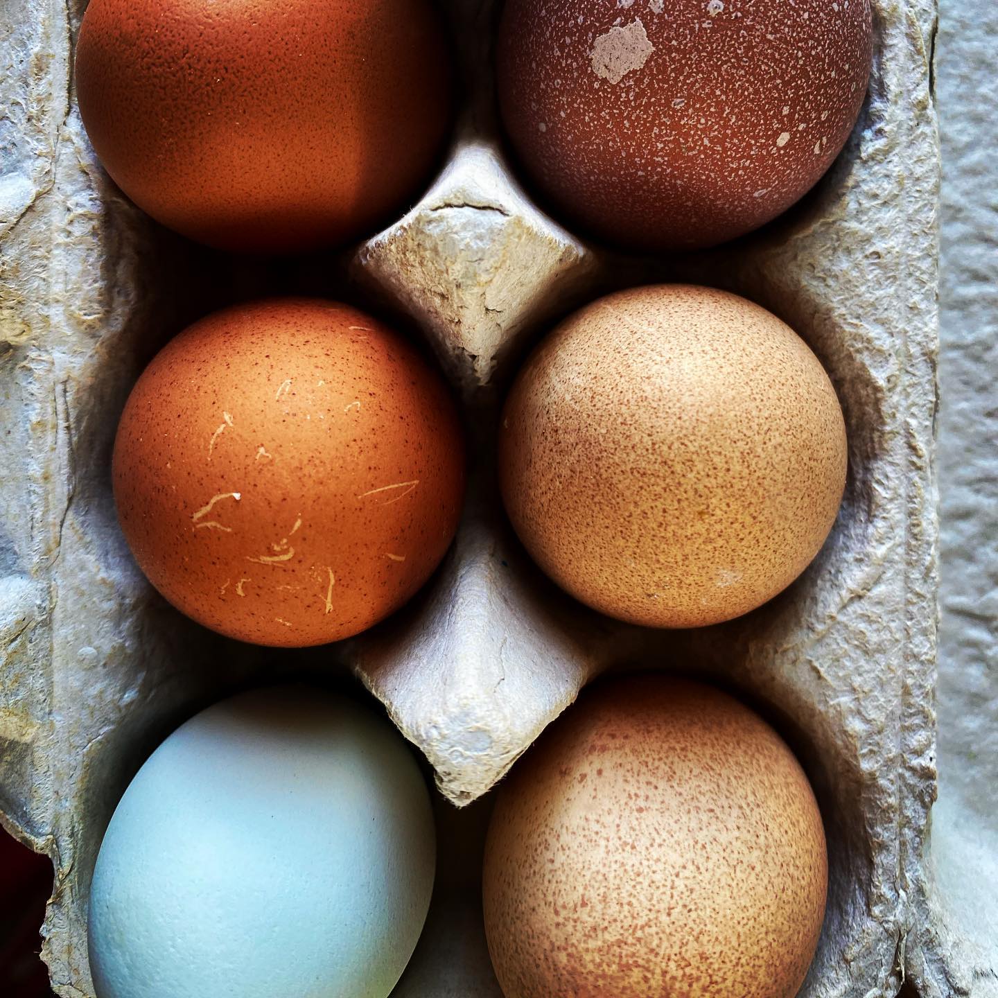 Peace & Plenty Farm | On-Site Farmstand | Kelseyville, CA – Peace and ...