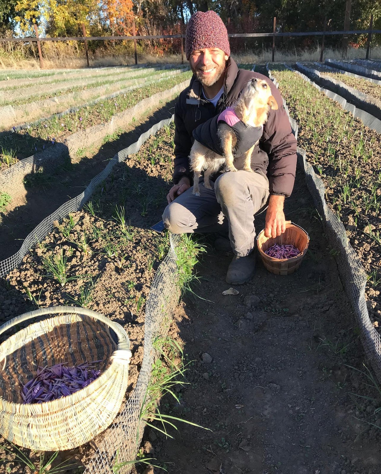 Peace & Plenty Farm | About Us | Kelseyville, CA – Peace and Plenty Farm